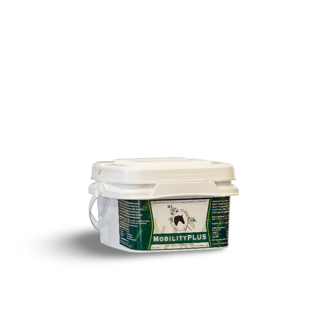 Mobility Plus – Herbs for Horses