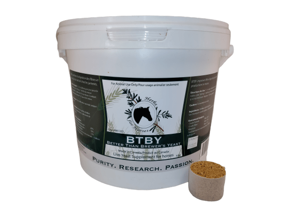 BTBY (Better Than Brewer's Yeast) - Herbs for Horses