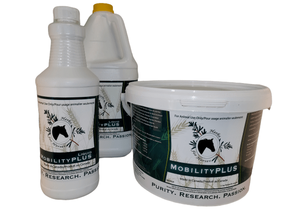 Mobility Plus – Herbs for Horses