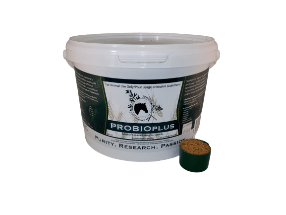 Probioplus - Herbs for Horses